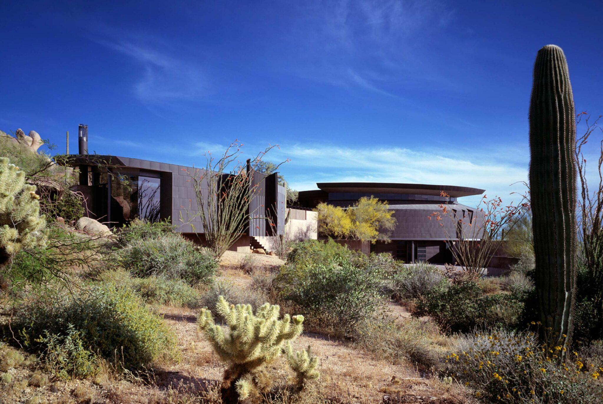 Scorpion House - Jones Studio Inc